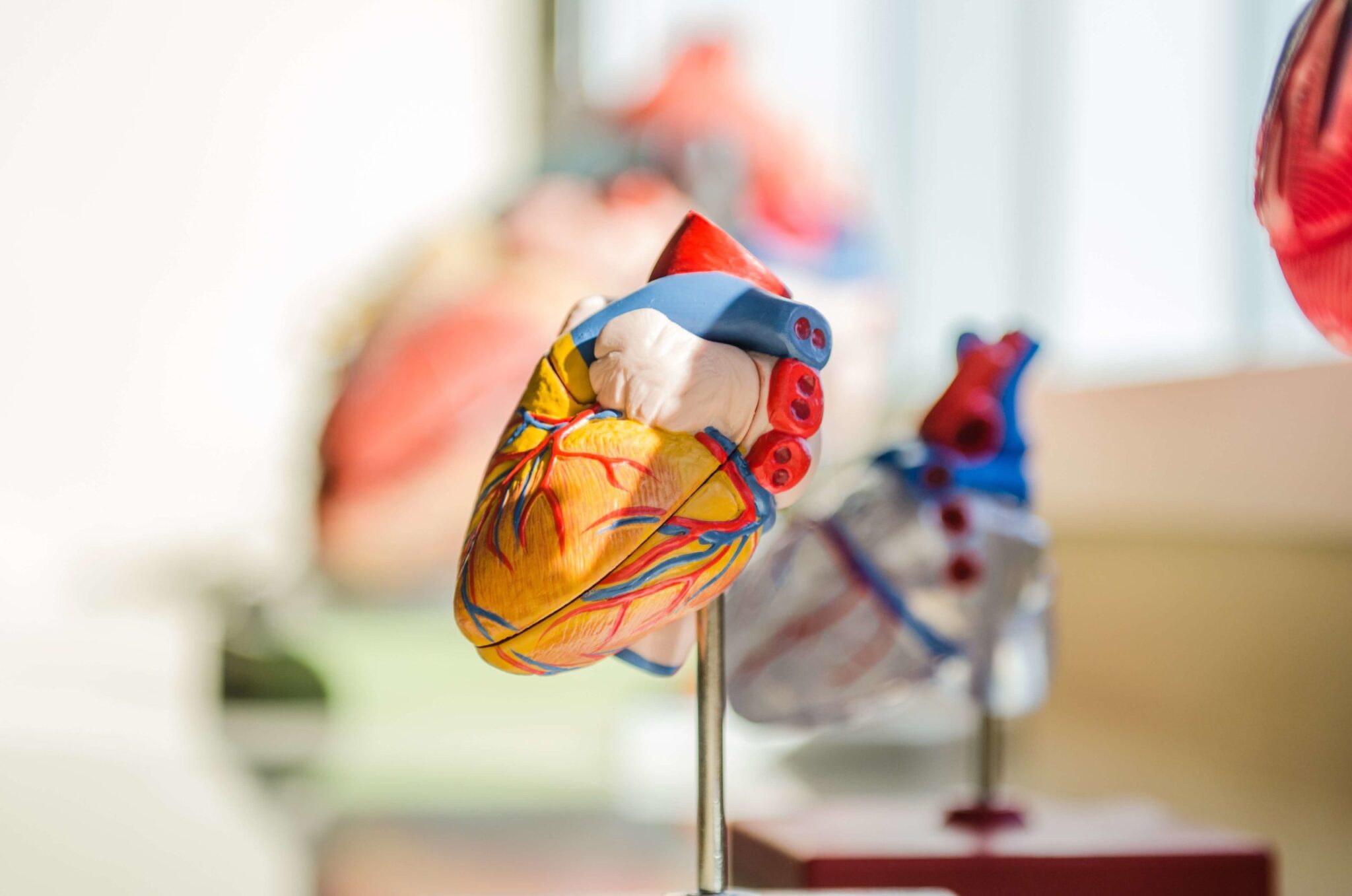 How Drug Use May Affect Your Circulatory System | Footprints to Recovery