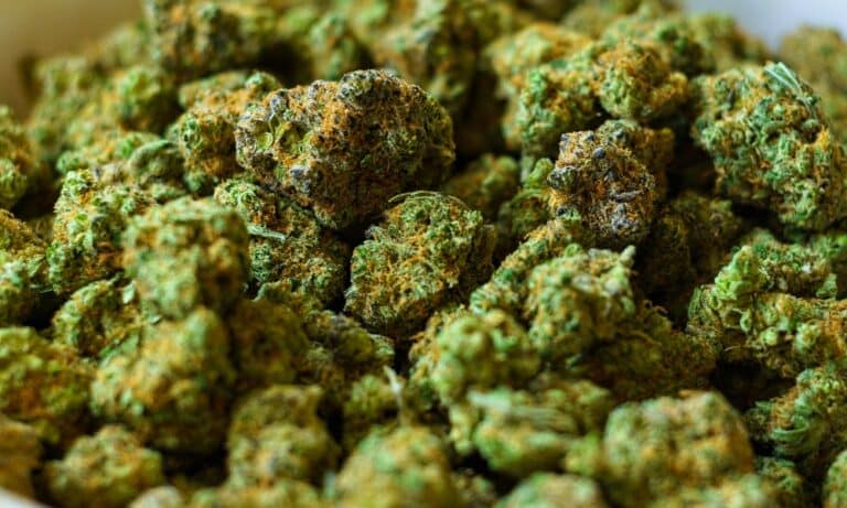 Marijuana Addiction Treatment